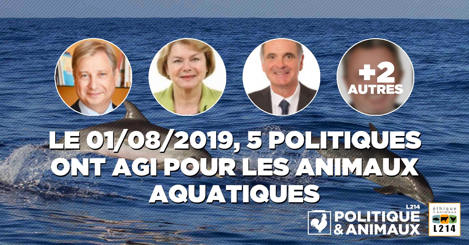 Dauphins victimes par milliers de la pêche : 5 sénateurs demandent des ... Dauphins victimes par milliers de la pêche : 5 sénateurs demandent des ...