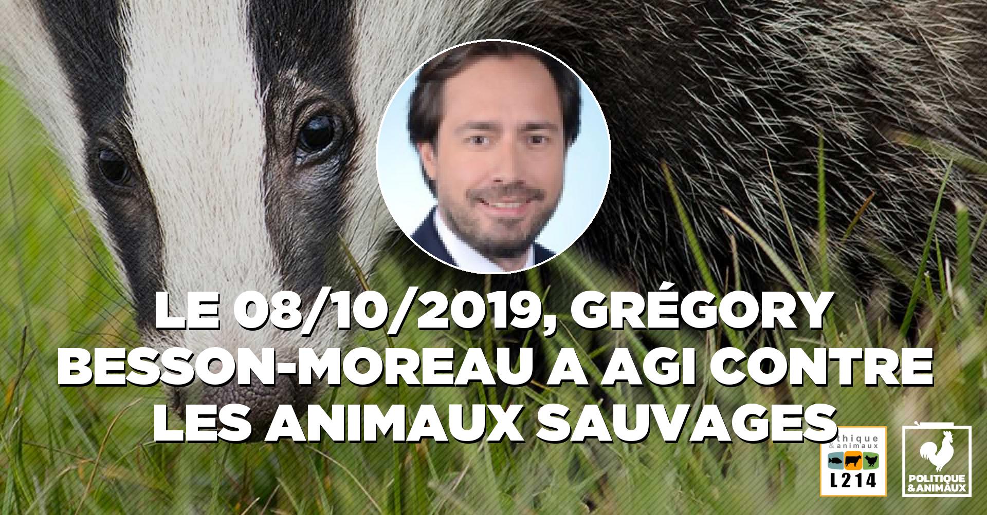Grégory Besson-Moreau demande au Gouvernement de rétablir les fouines ...