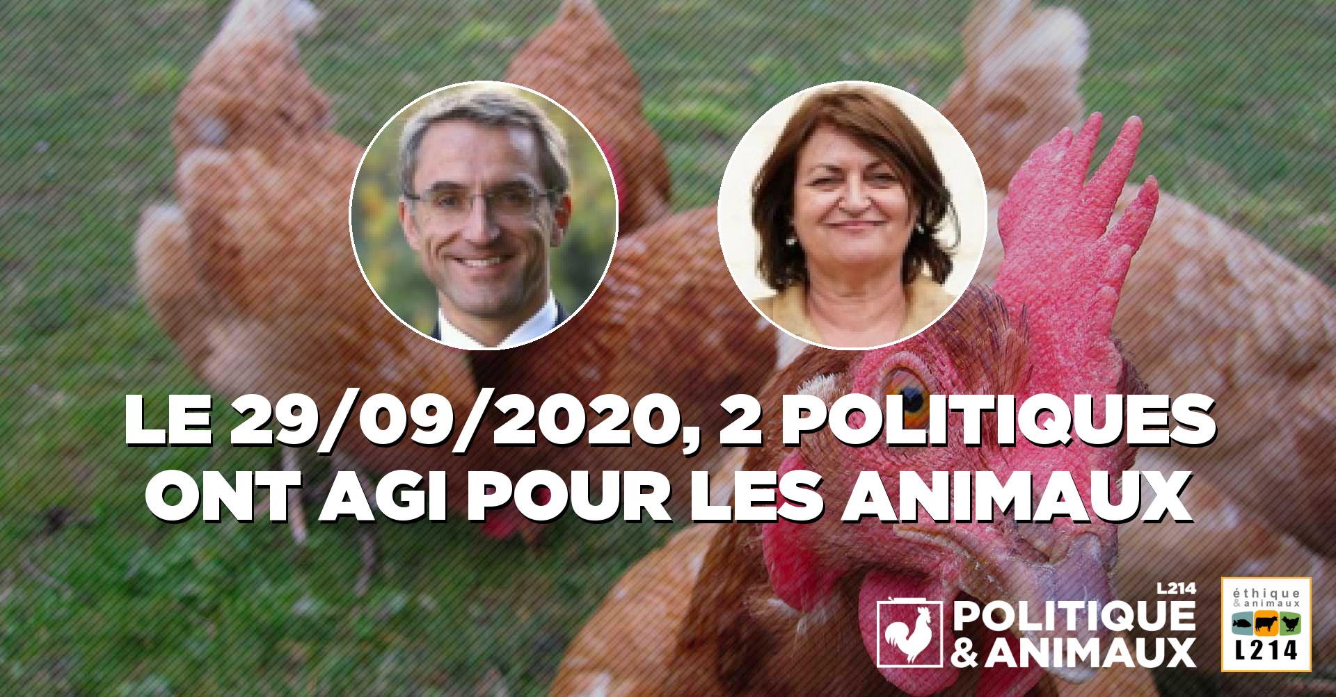 La ville de Pessac adopte une motion «en faveur du bien-être animal et ...
