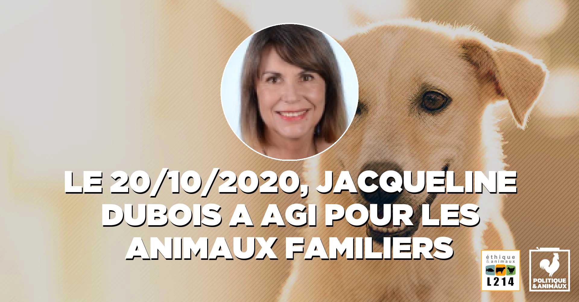 Jacqueline Dubois alerte le gouvernement sur l'absence d'encadrement du ...