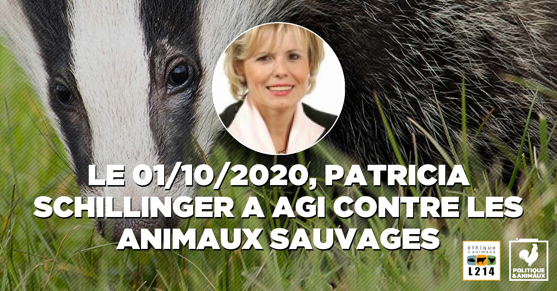 La sénatrice Patricia Schillinger demande de faciliter l'accès des ...