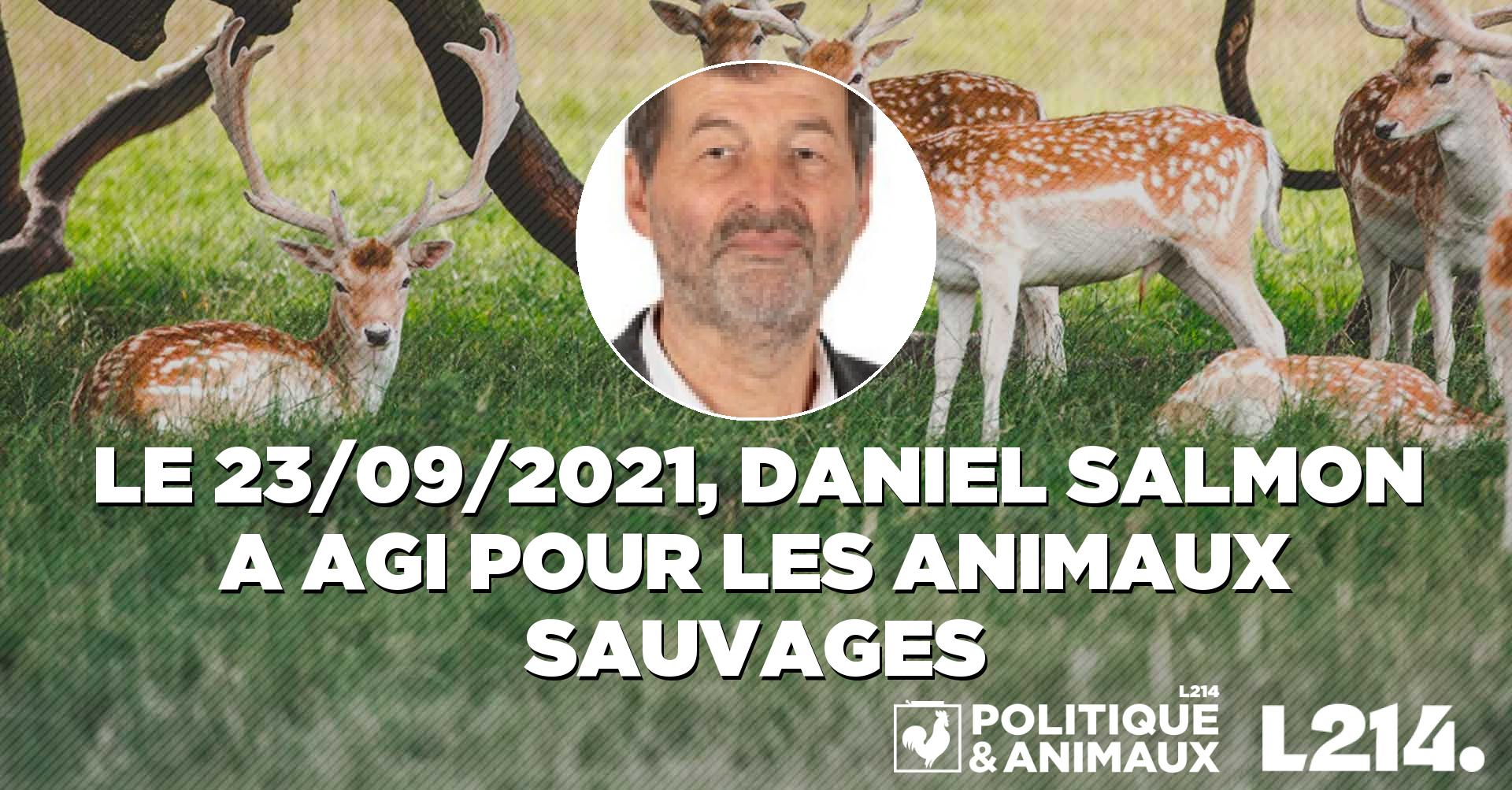Le sénateur Daniel Salmon demande au Gouvernement d'interdire les ...