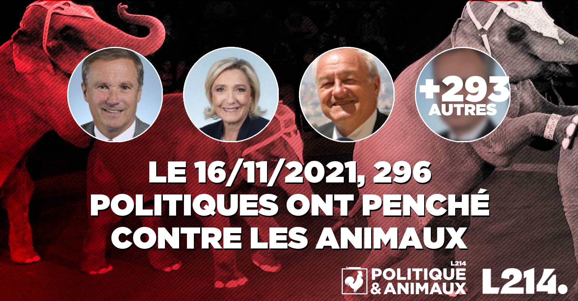 Proposition de loi contre la maltraitance animale : ces députés n'ont ... Proposition de loi contre la maltraitance animale : ces députés n'ont ...
