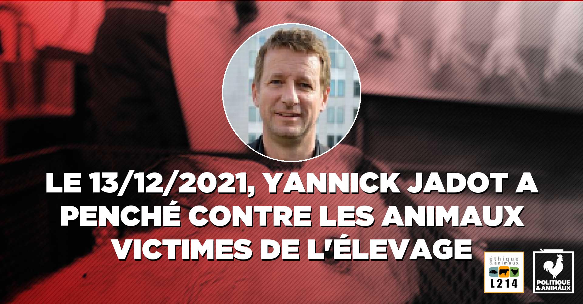 Yannick Jadot sur la pratique du gavage : «moi j'en mange du foie gras ...