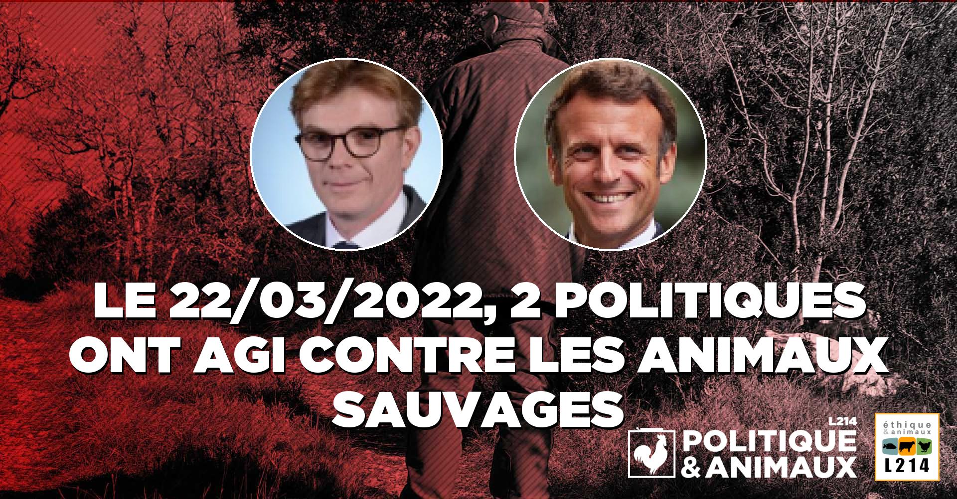 Invité Par La Fédération Des Chasseurs Le Représentant Demmanuel