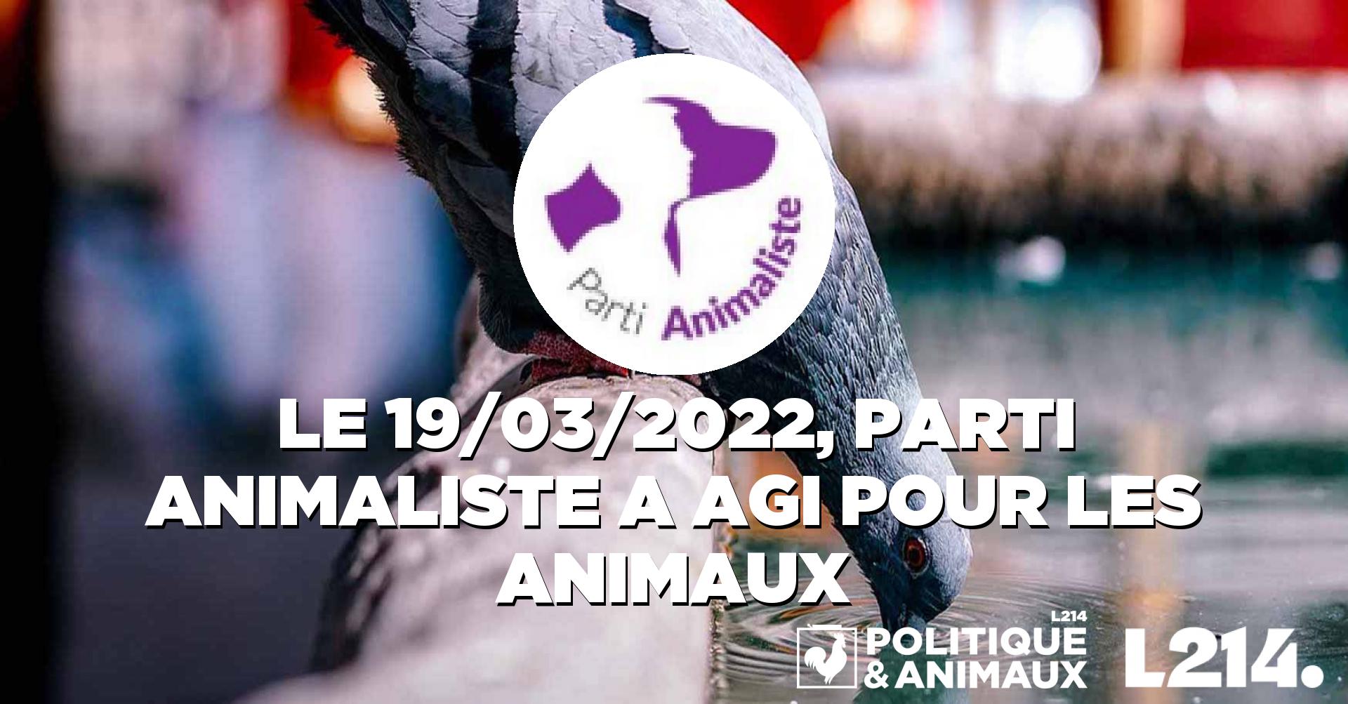 Le PA propose de renforcer la protection des animaux sauvages, dont ...