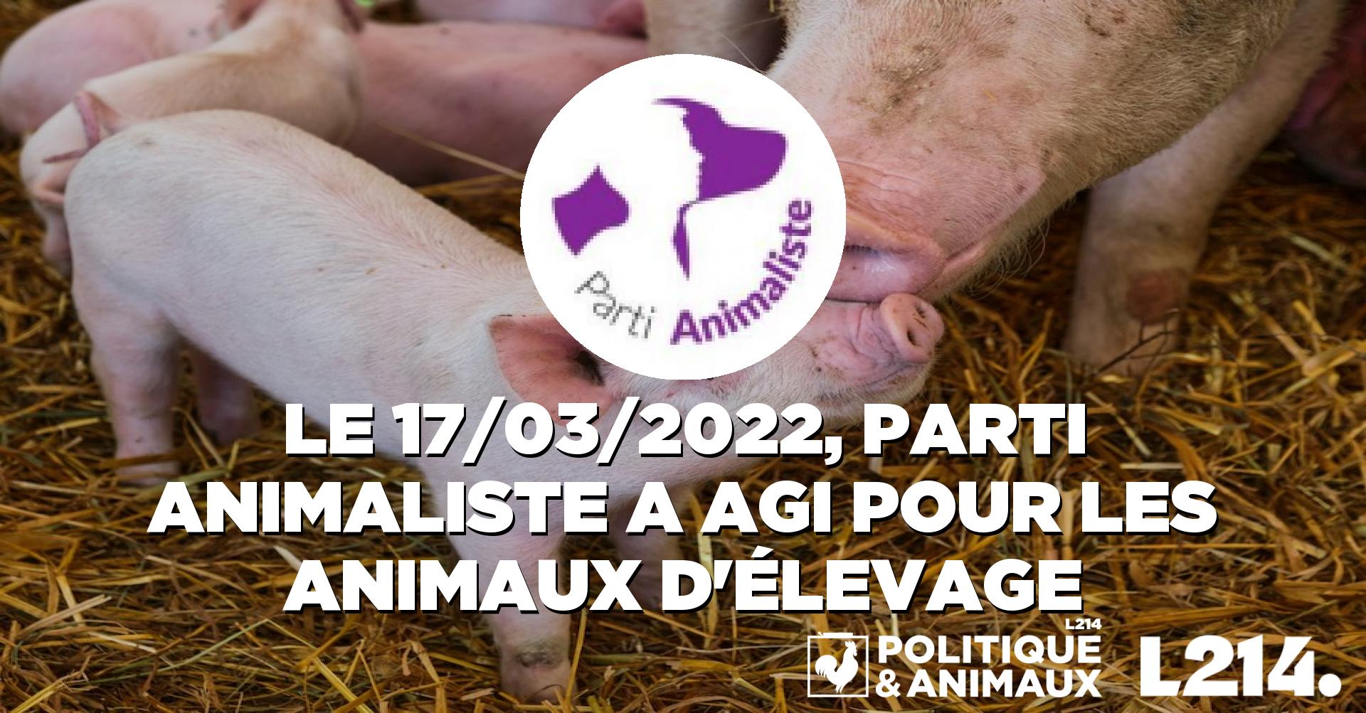 Le Parti animaliste propose de renforcer la protection des animaux à l ...