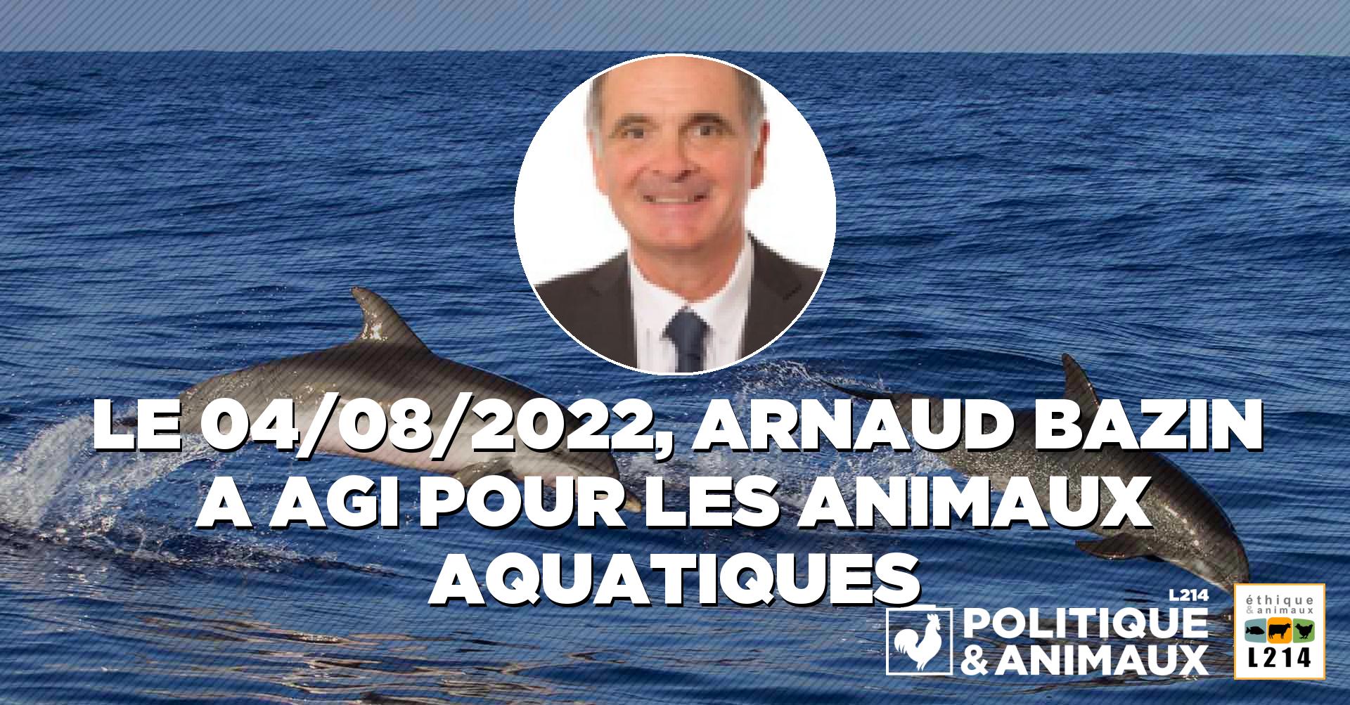 Dauphins victimes par milliers de la pêche: le sénateur Arnaud Bazin ... Dauphins victimes par milliers de la pêche: le sénateur Arnaud Bazin ...