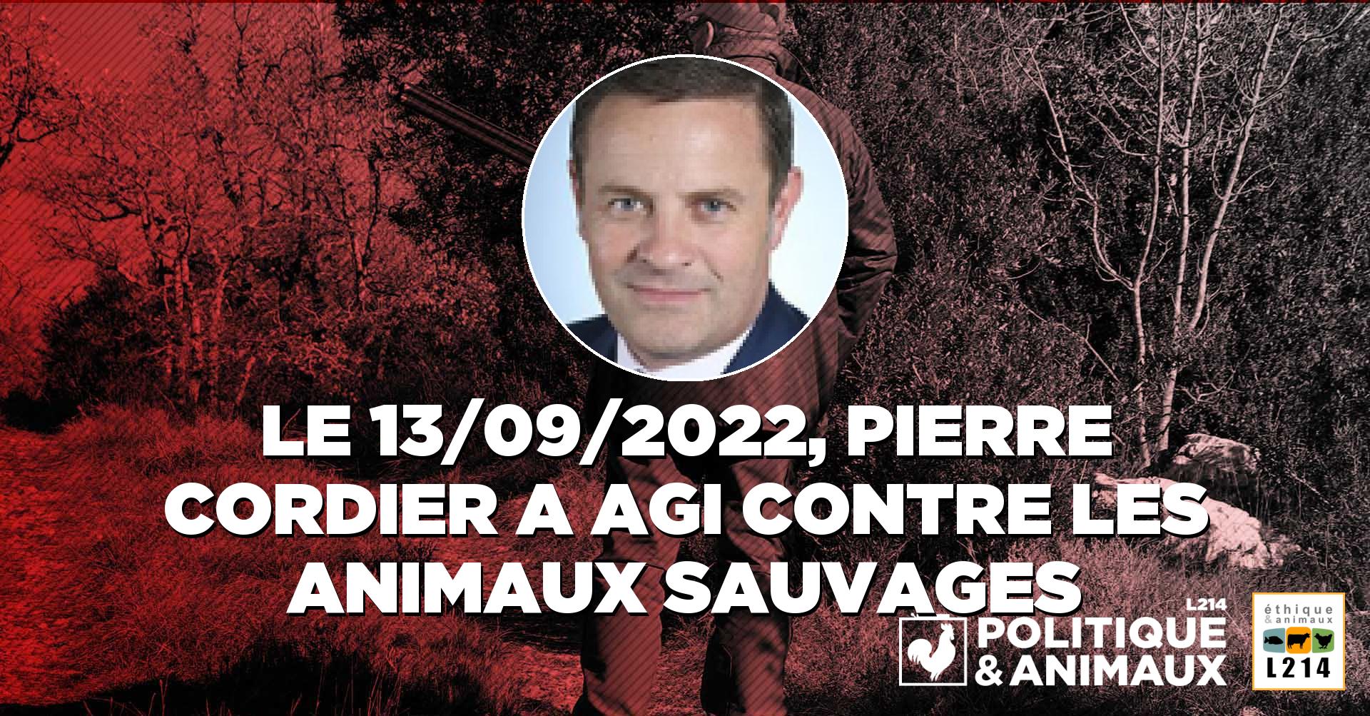 Pierre Cordier demande des nouveaux quotas et davantage de tirs contre ...