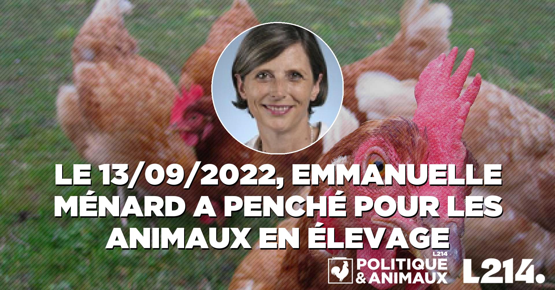 Énième vague de grippe aviaire : la députée Emmanuelle Ménard suggère ...
