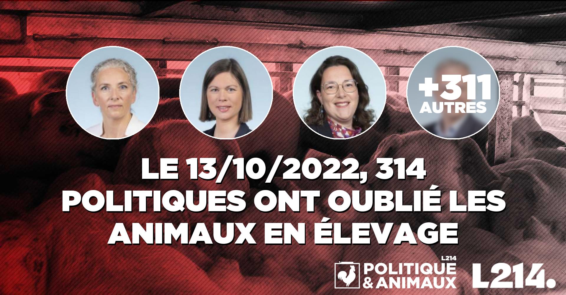 Ces députés n'ont pas participé au vote sur les amendements au projet ... Ces députés n'ont pas participé au vote sur les amendements au projet ...