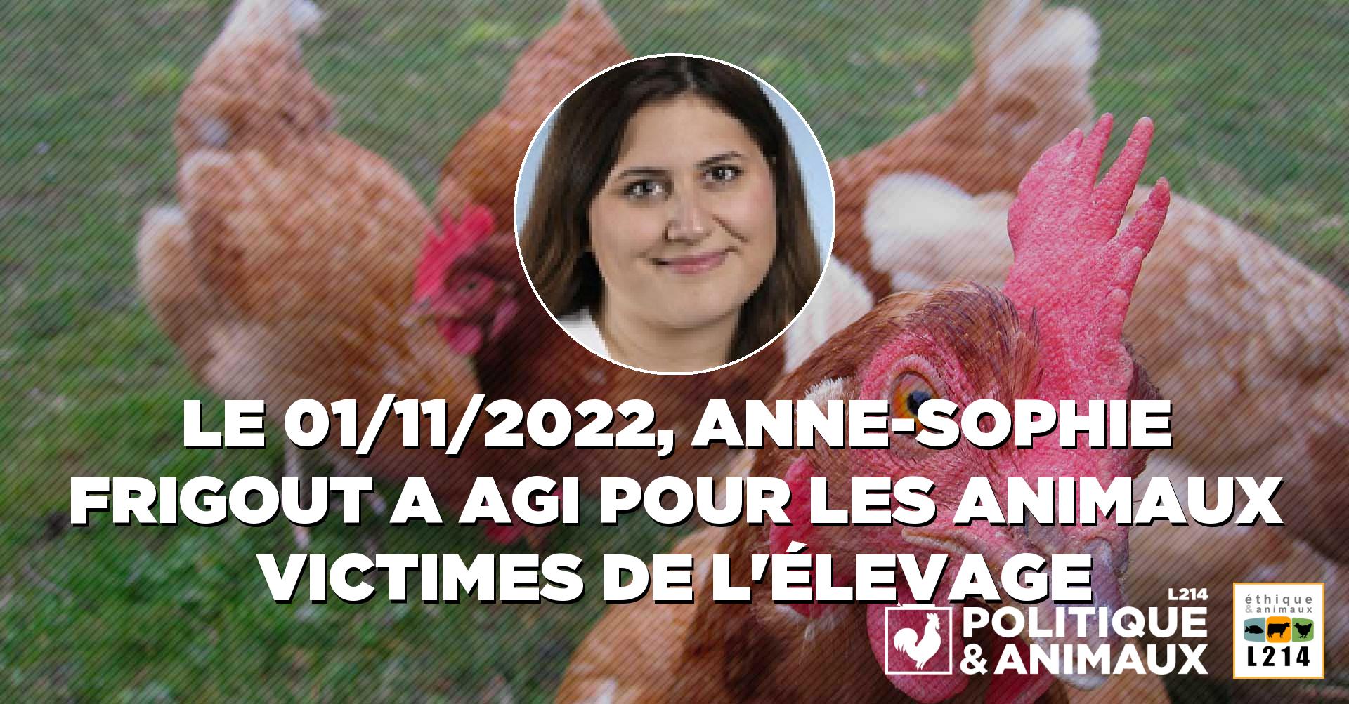 Anne-Sophie Frigout interpelle le Gouvernement sur le manque de ...