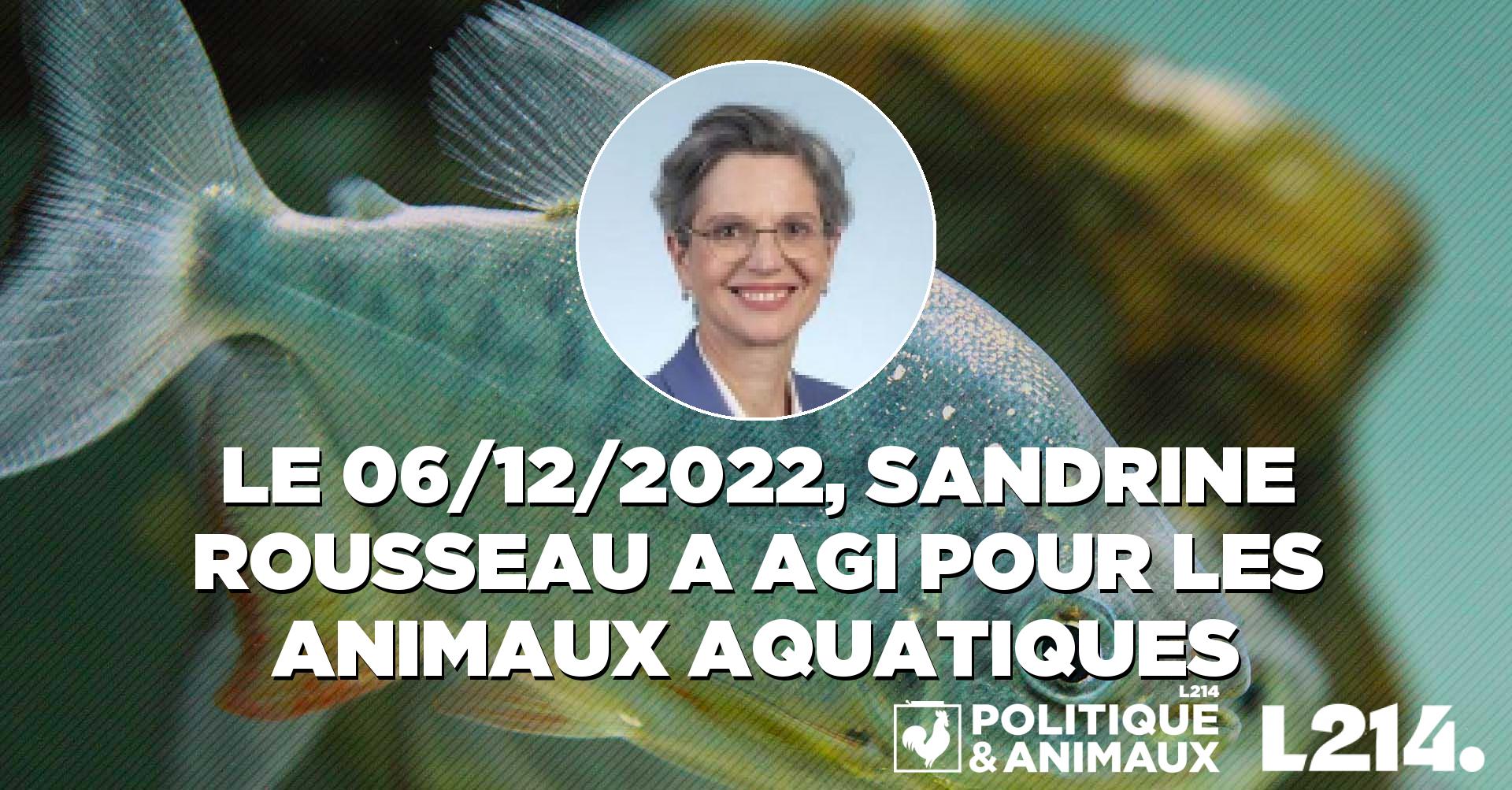 Hameçons triples, hameçons avec ardillon, pêche au vif, empoissonnement ...