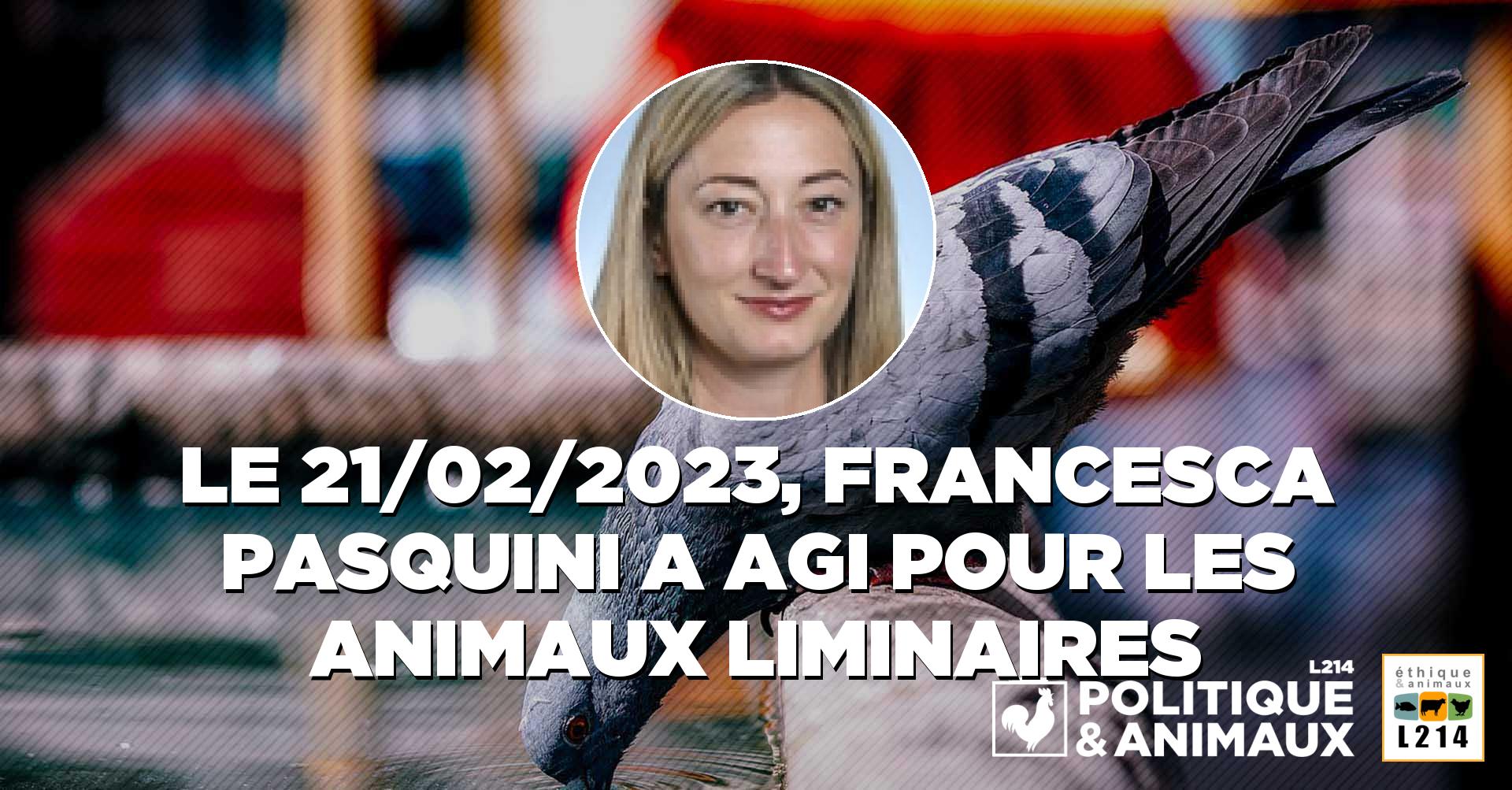 Francesca Pasquini demande au Gouvernement d'interdire le gazage des ...