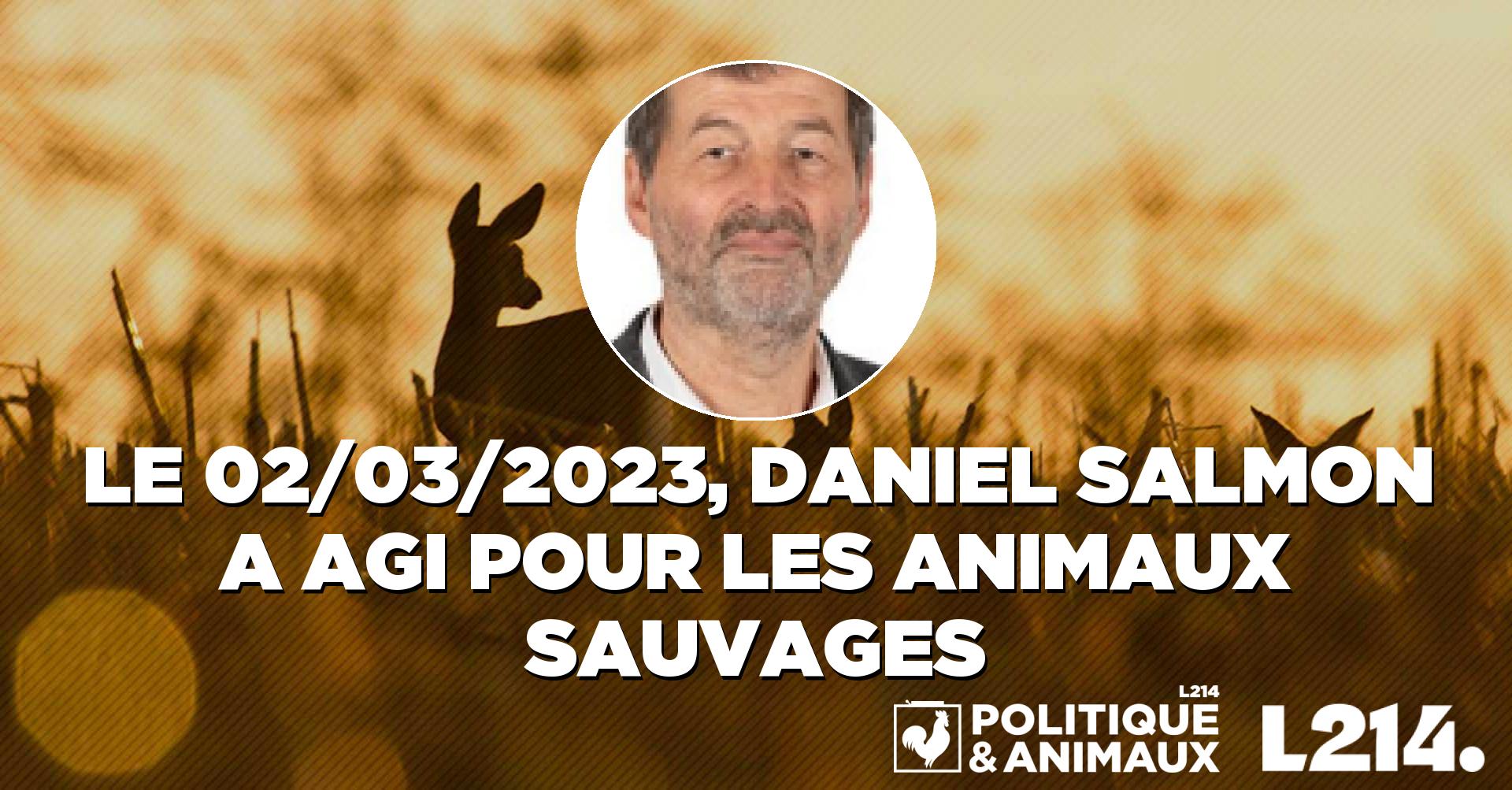 Le Sénateur Daniel Salmon suit une chasse à courre dans l'Aisne avec le collectif AVA ...