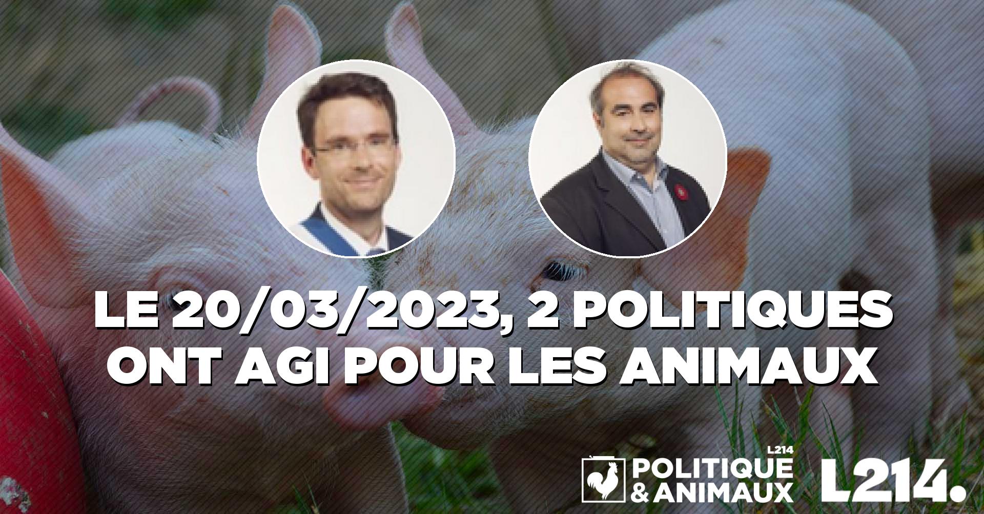 Le conseil municipal de Rouen adopte un «Plan d'action bien-être animal 2023-2026» - Politique ...