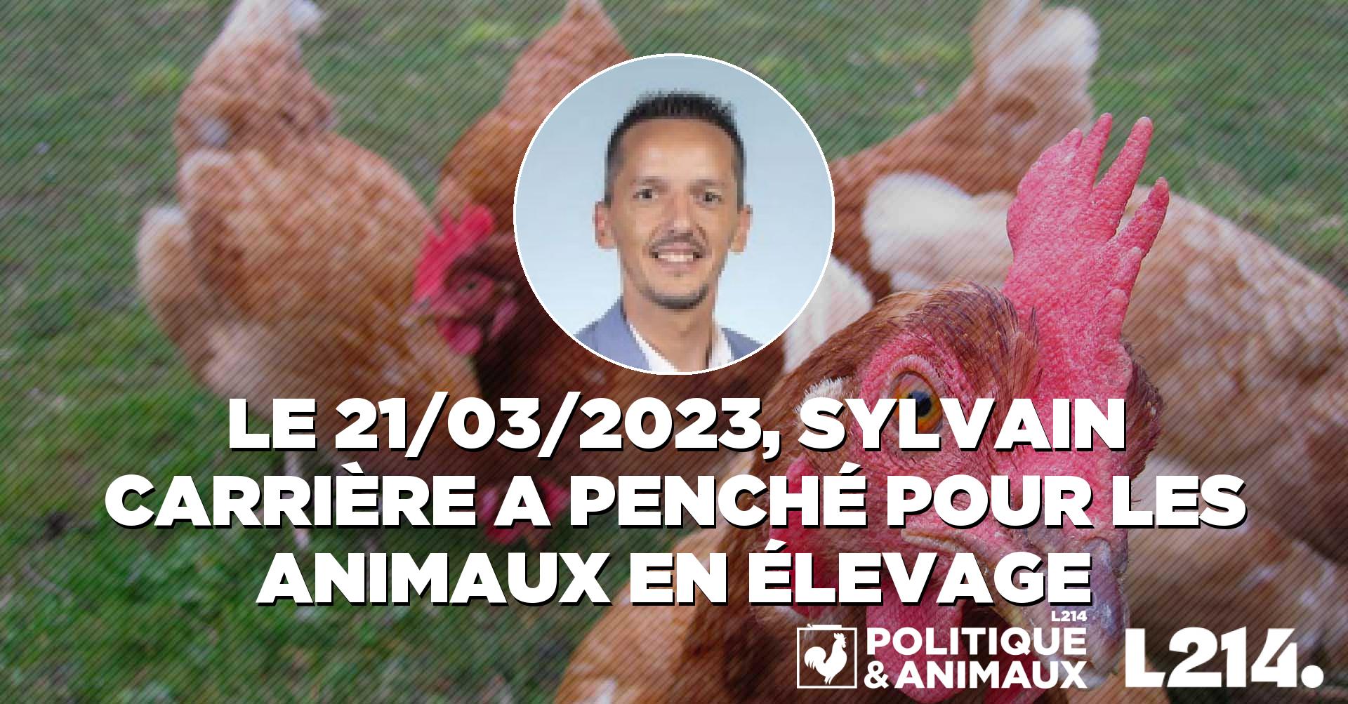 Énième vague de grippe aviaire : le député Sylvain Carrière suggère de ...