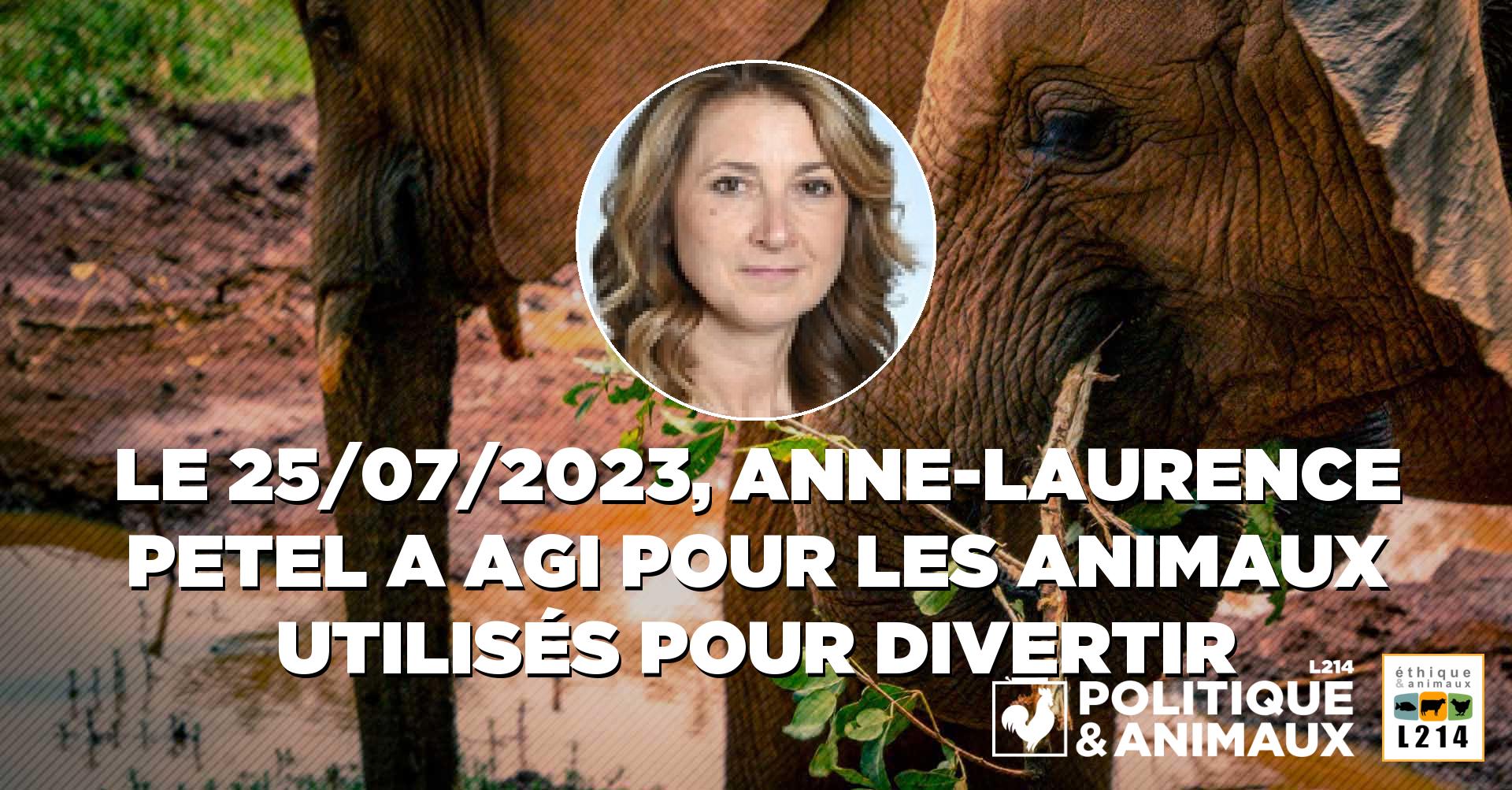Anne-Laurence Petel demande au gouvernement d'interdire l'exploitation ...