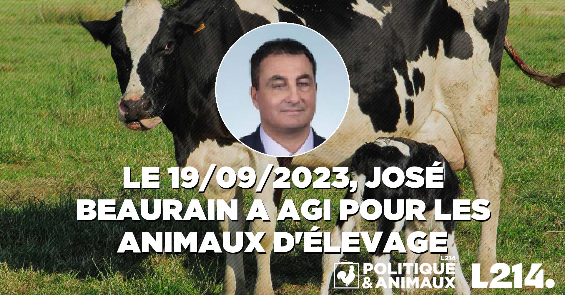 José Beaurain demande au gouvernement d'interdire les exportations d ...