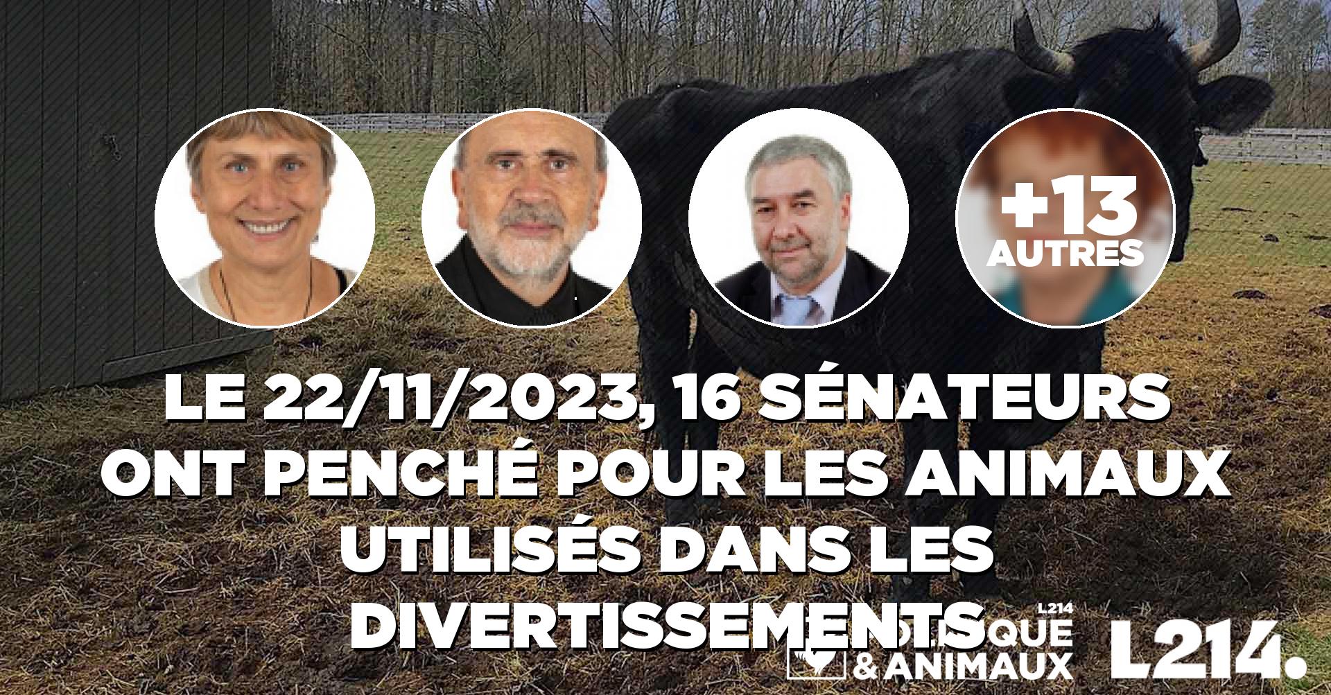 Proposition de loi N°141 visant à interdire les corridas et les écoles ...