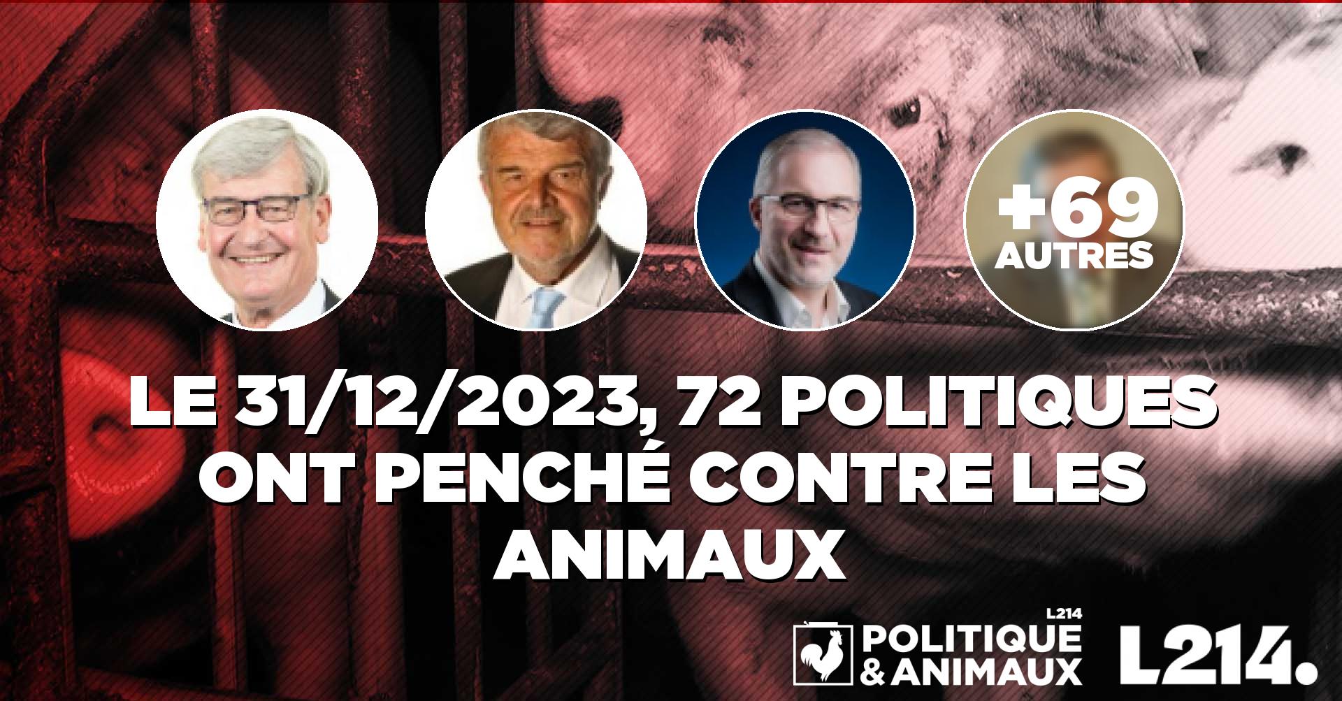 Flop du classement L214 «Une ville pour les animaux» 2023 - Politique ...