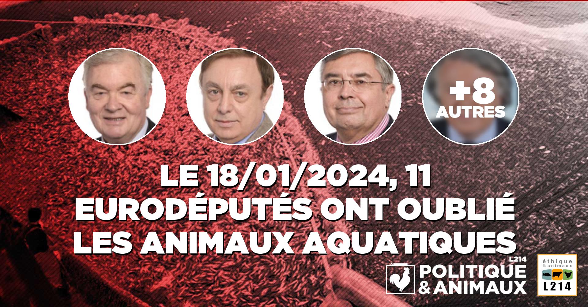 Ces eurodéputés n'ont pas participé au vote sur l'amendement 3 portant ... Ces eurodéputés n'ont pas participé au vote sur l'amendement 3 portant ...