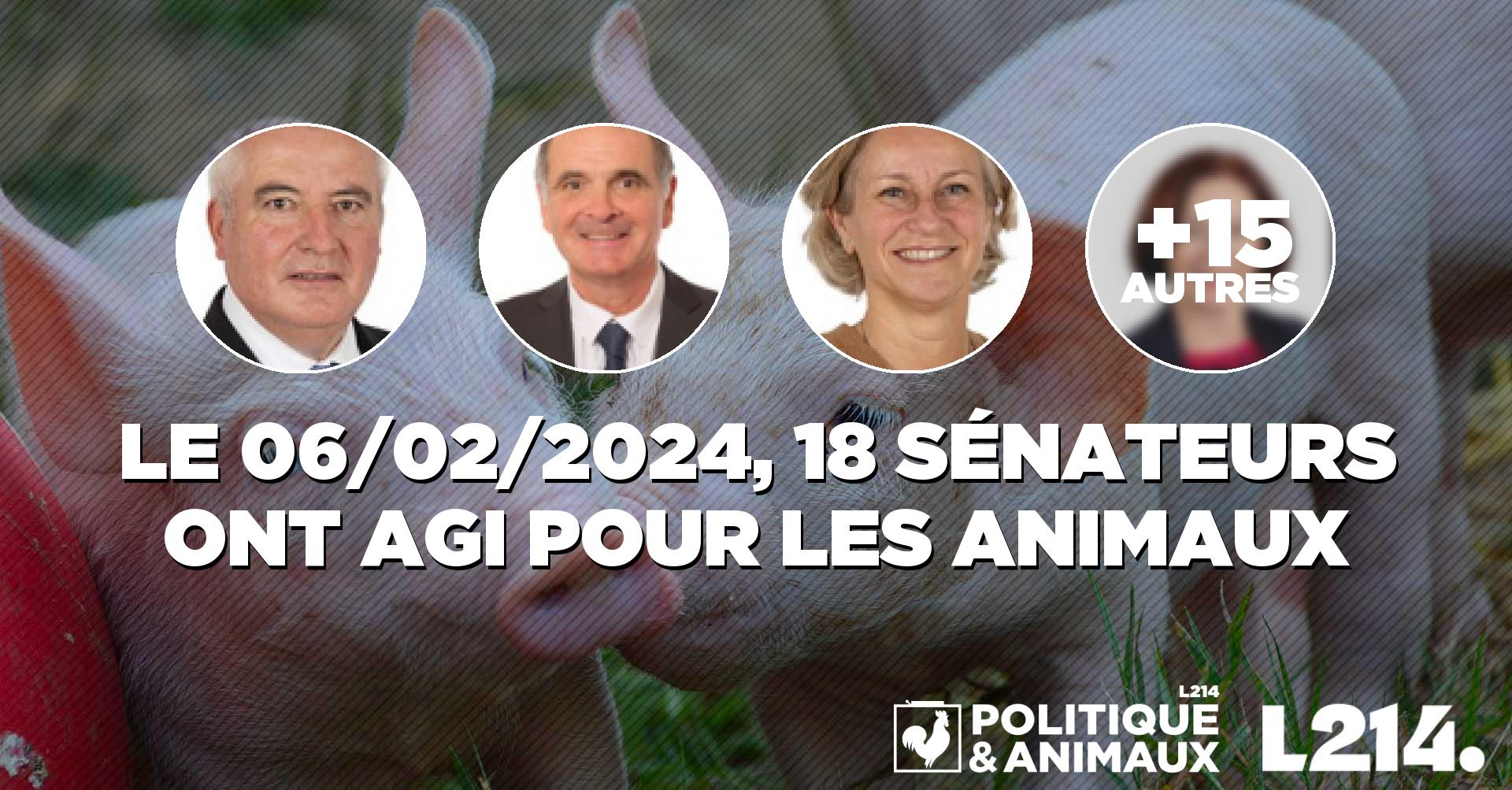 Ces sénateurs sont membres de la Section Animal et société (2024-2027 ...