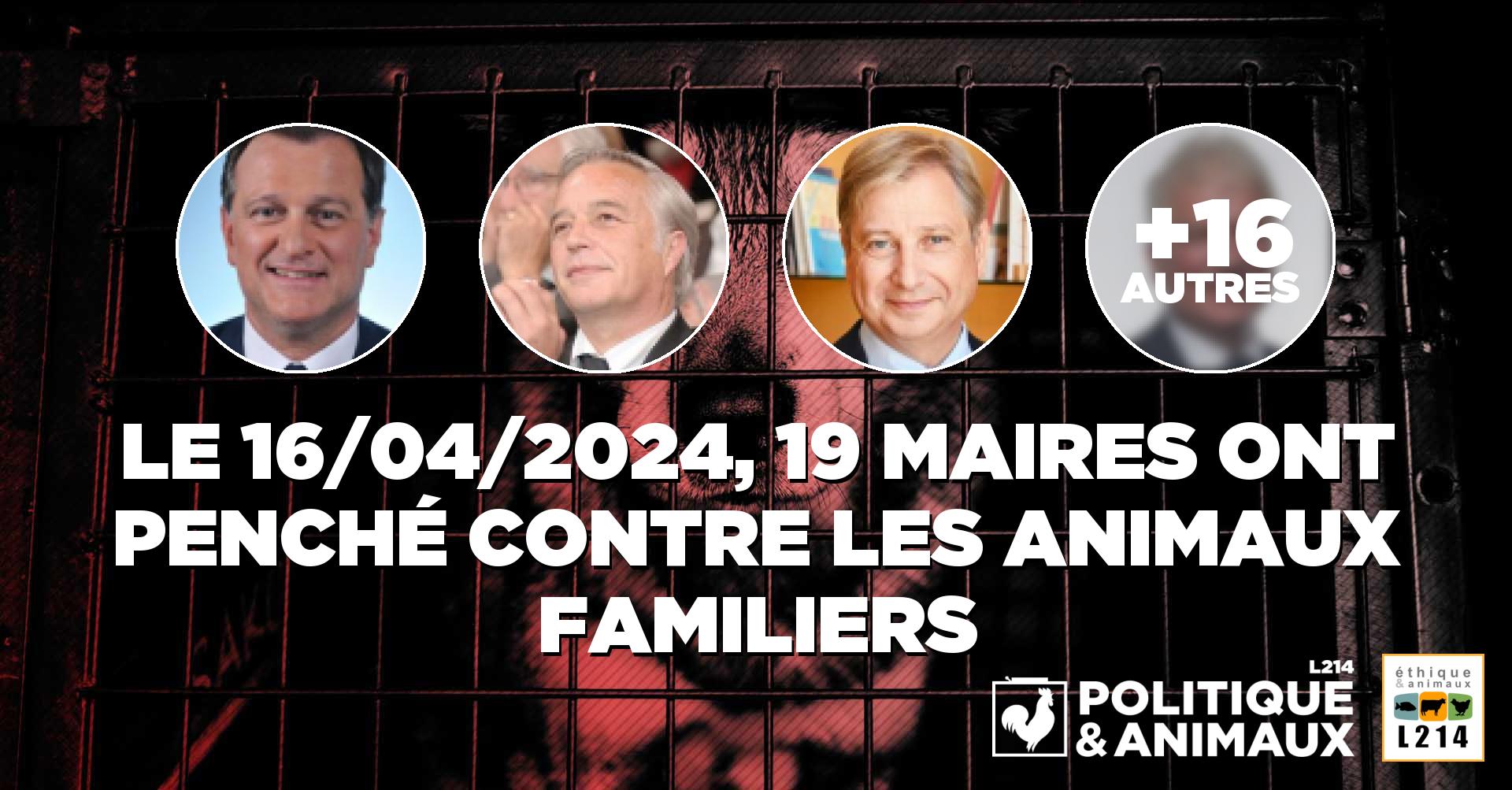 Flop des villes «où il fait bon vivre avec son chien» du classement 30 ...