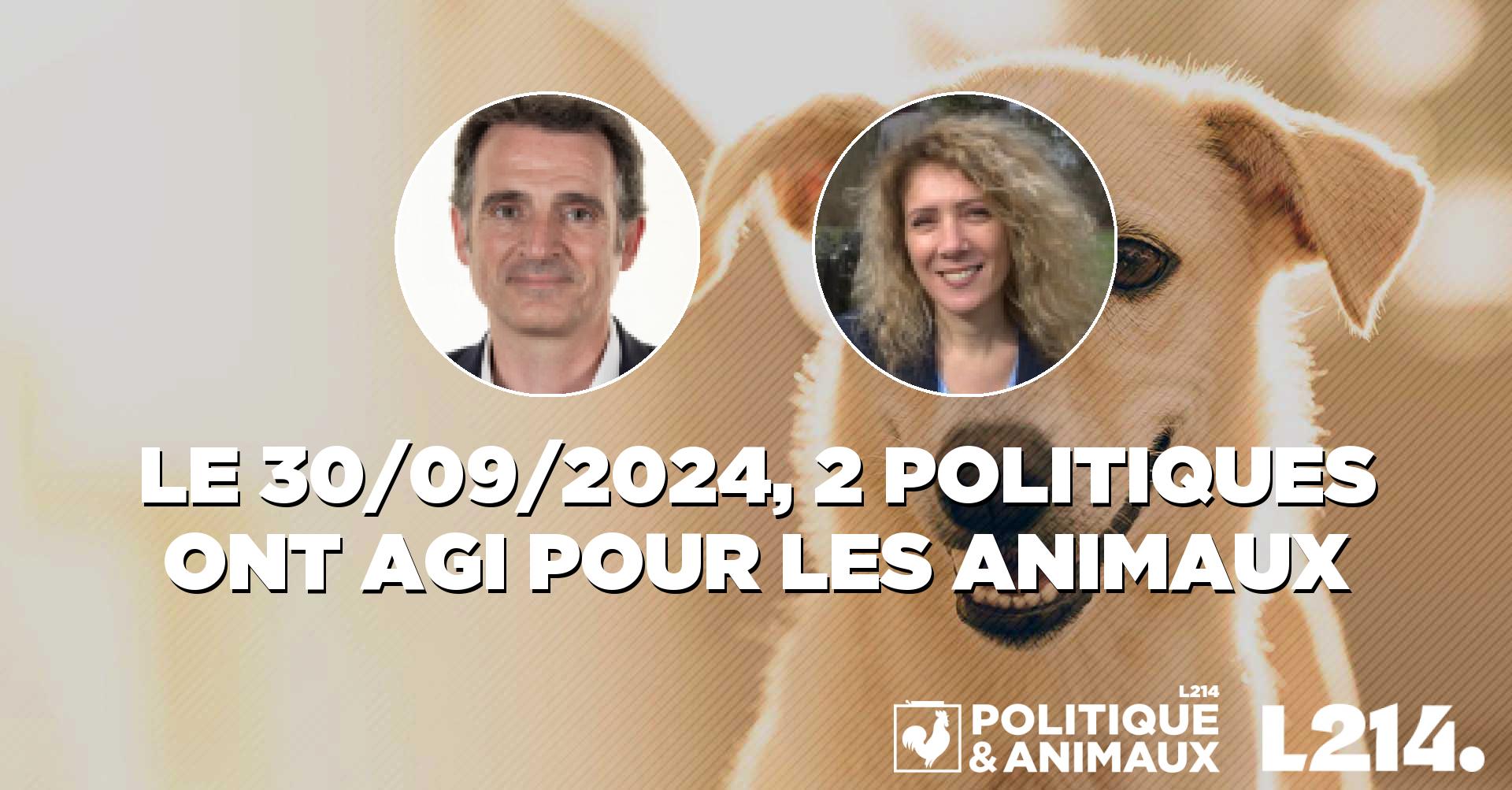 Grenoble s'engage à renforcer ses actions de cohabitation pacifique ...