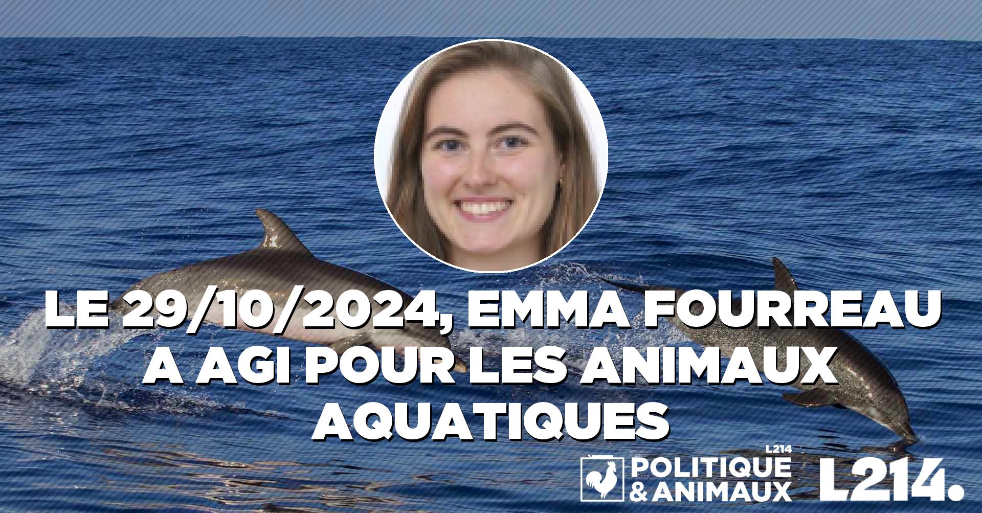 L'eurodéputée Emma Fourreau demande à la Commission d'agir contre la ...