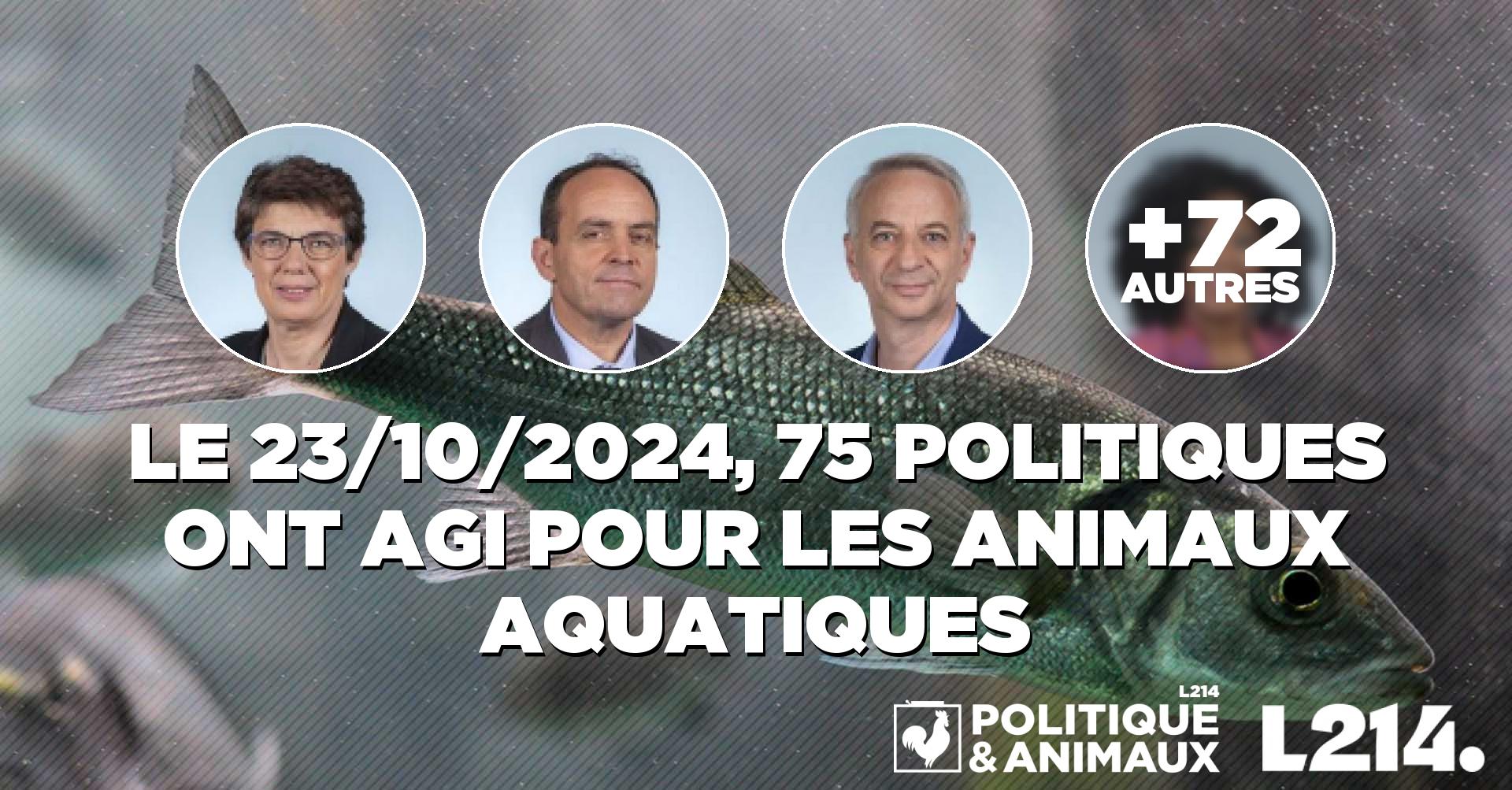 Tribune: 75 élus demandent à Emmanuel Macron d'accorder l’asile ...