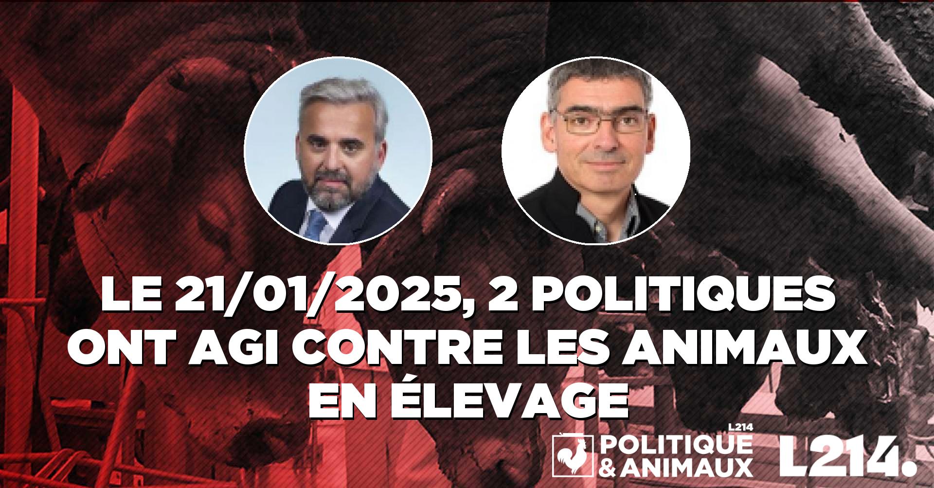 «Mangeons de la tête de veau», ou comment faire l'apologie de l ...