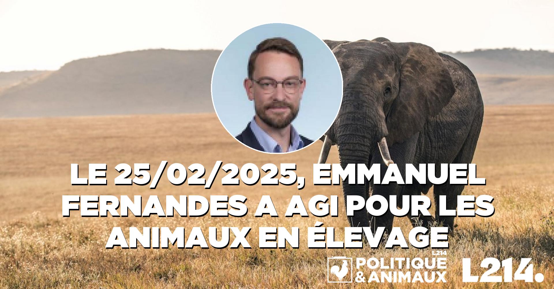 Le député Emmanuel Fernandes demande au gouvernement un moratoire sur ...