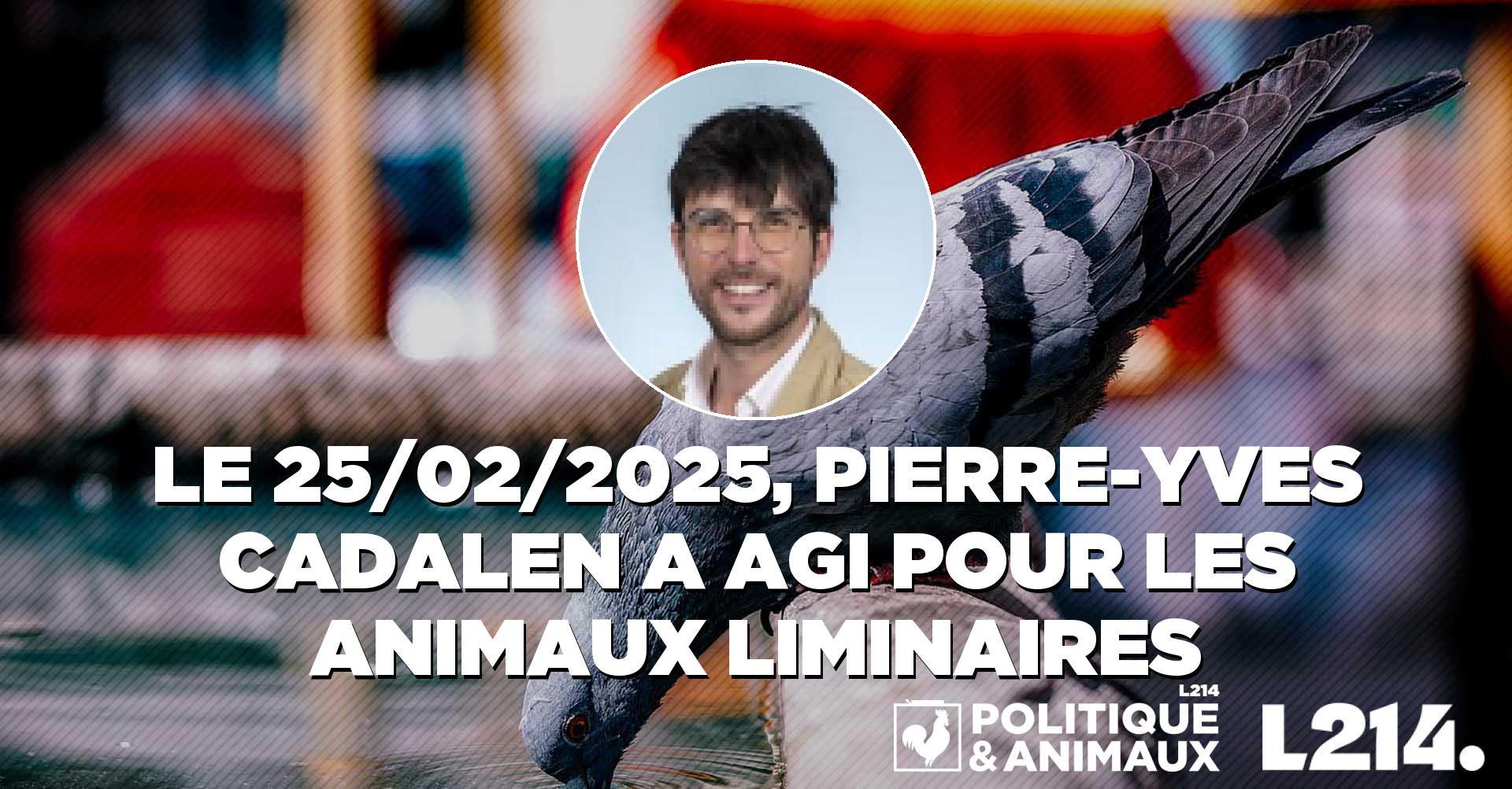 Le député Pierre-Yves Cadalen demande d'interdire la gestion létale des ...