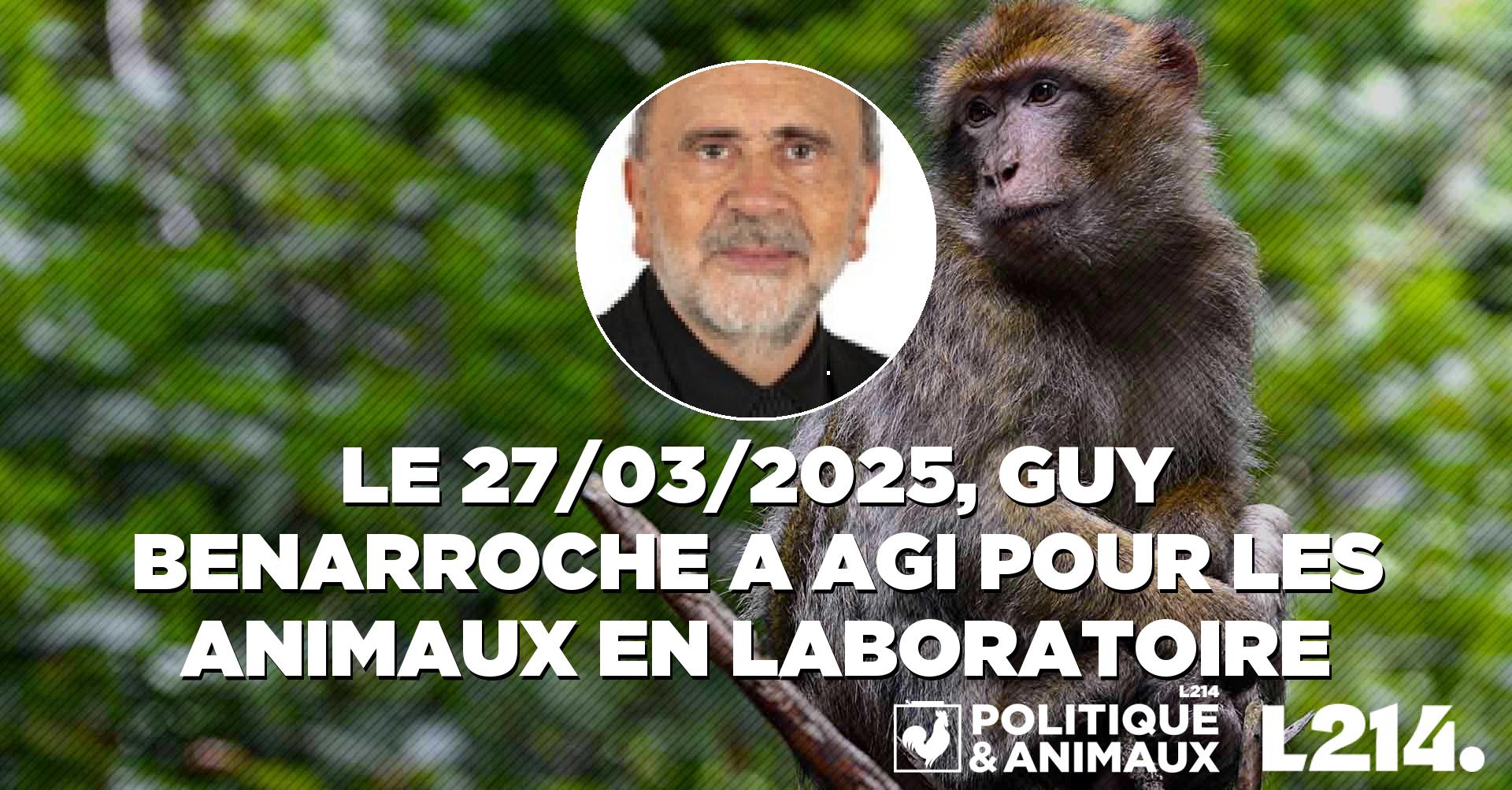 Le sénateur Guy Benarroche dénonce un projet d’élevage de primates pour ...
