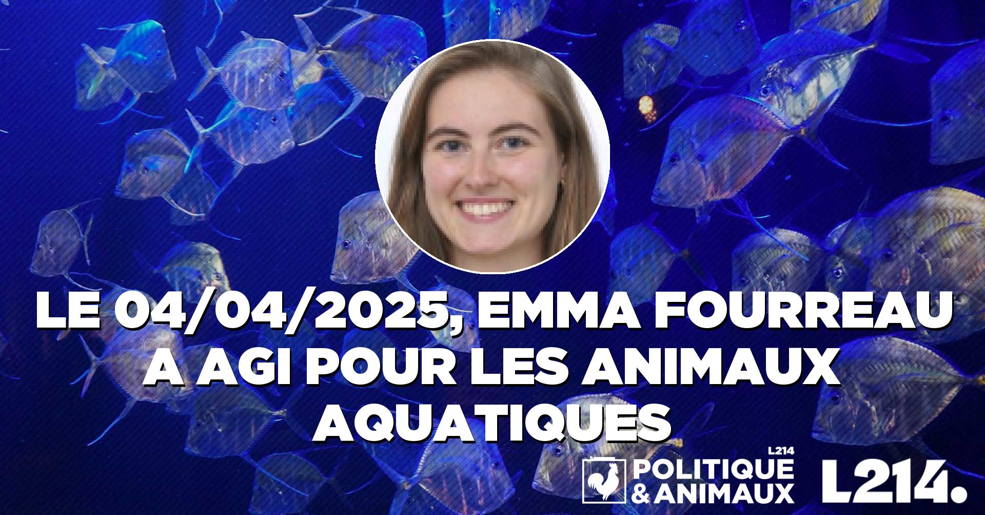 L’eurodéputée Emma Fourreau demande à la Commission de réduire le ...