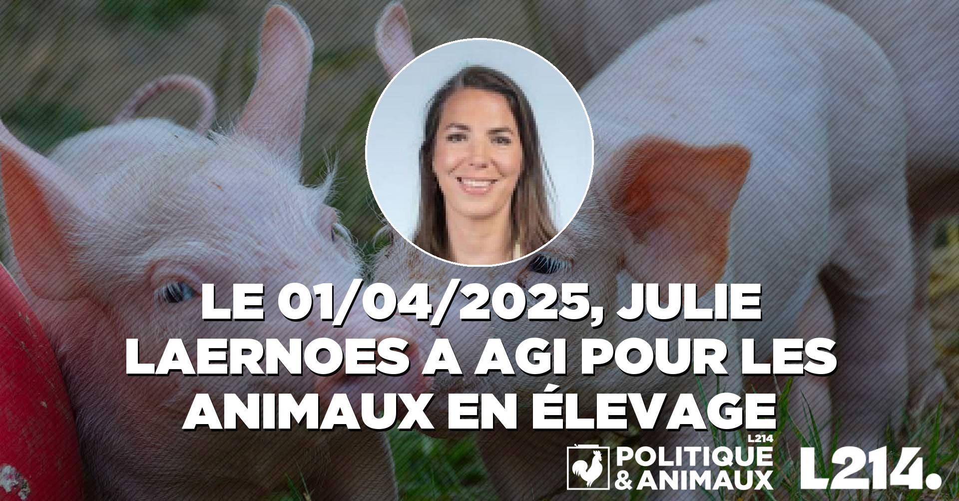 Enquête L214 dans 8 élevages en Bretagne: Julie Laernoes demande un ...