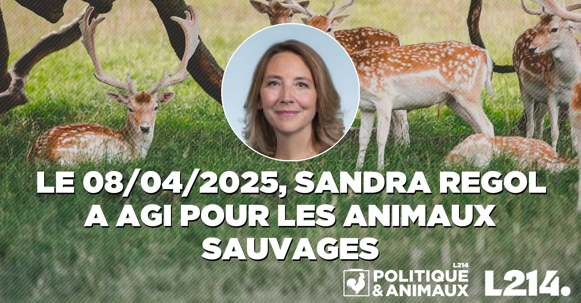 Trafic d'animaux sauvages: Sandra Regol demande au gouvernement le ...