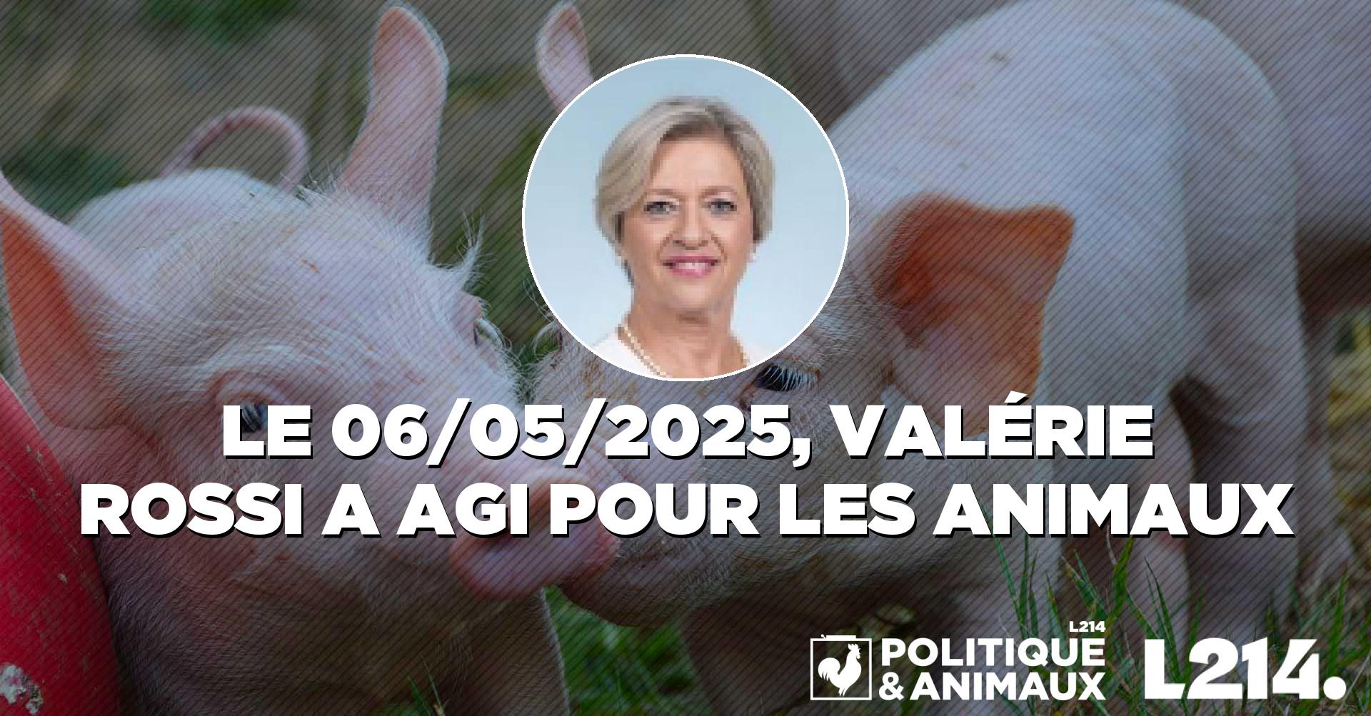 Valérie Rossi demande au gouvernement de renforcer le statut juridique des animaux - Politique ...