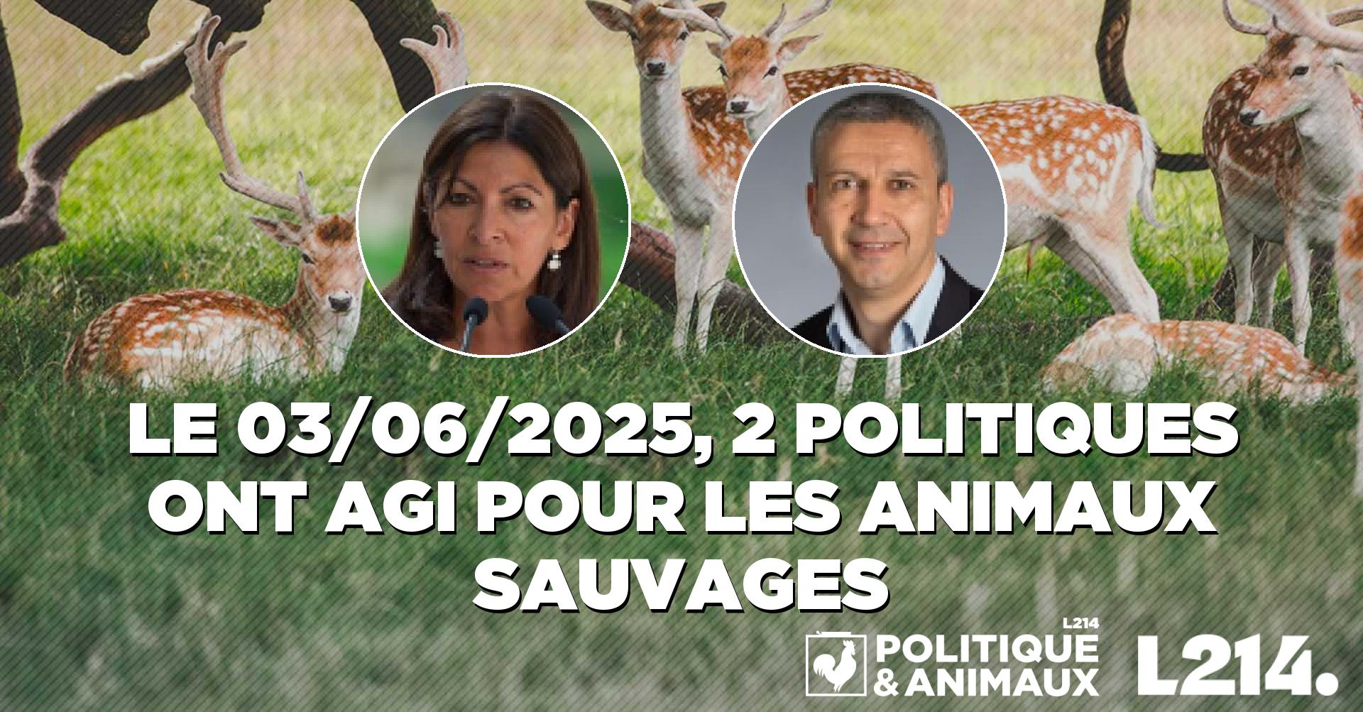 35000€ attribués par Paris pour des associations de protection de la ...