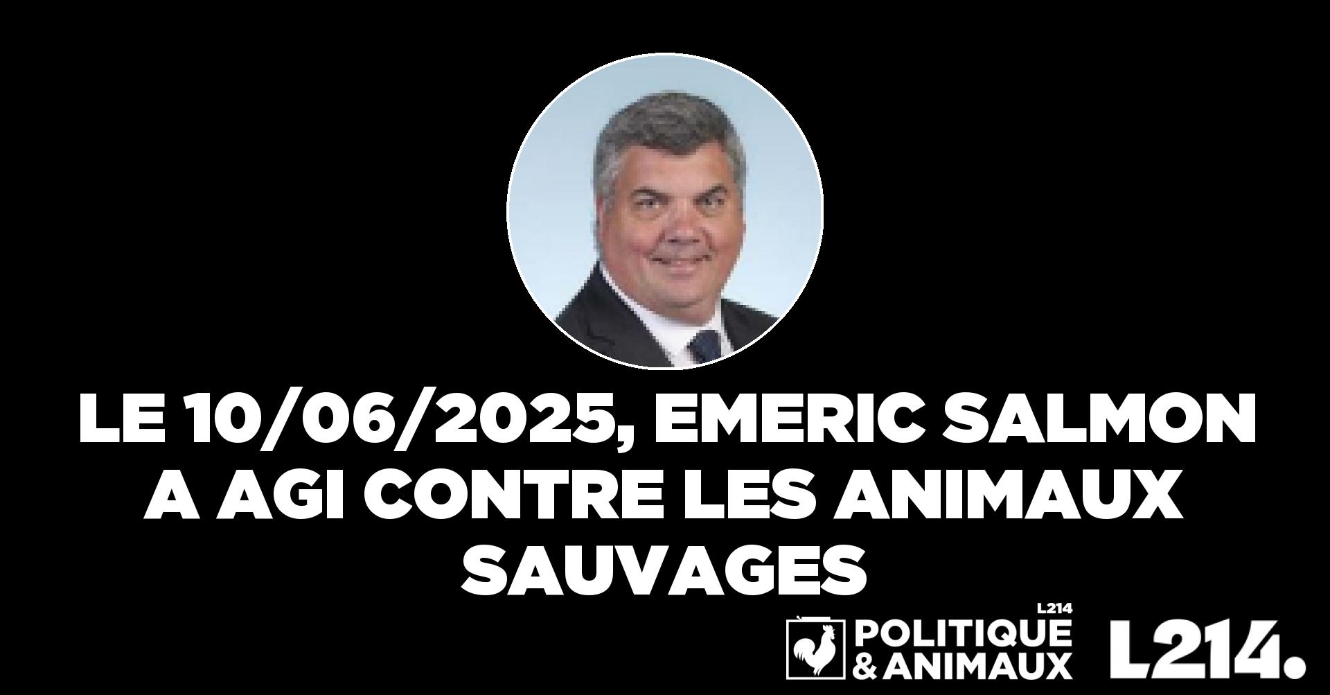 Emeric Salmon demande au gouvernement d’autoriser des tirs sur des espèces protégées (hérons ...