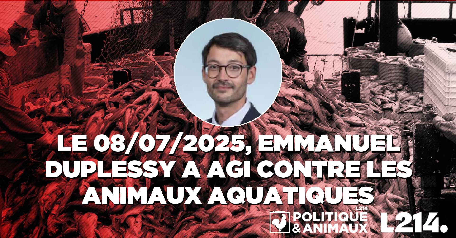 Emmanuel Duplessy demande au gouvernement de faciliter le développement ...