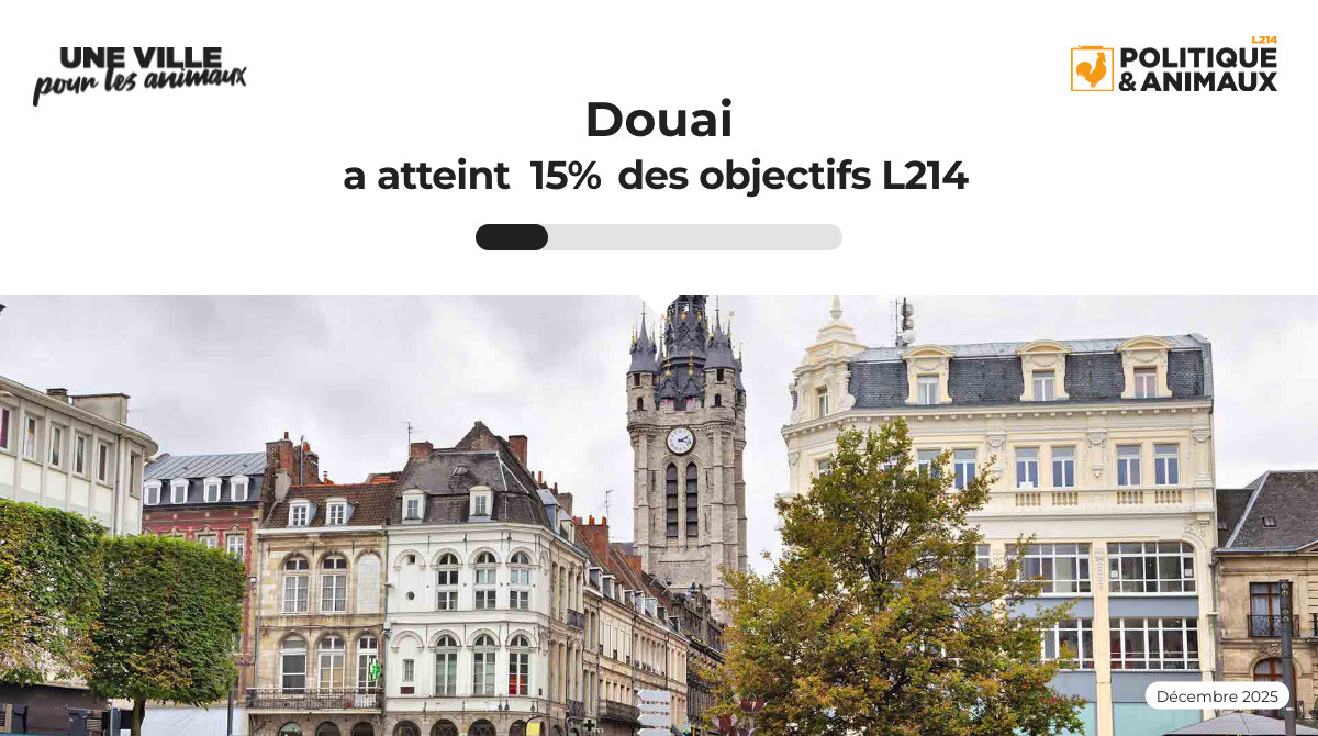 Douai - Politique & Animaux