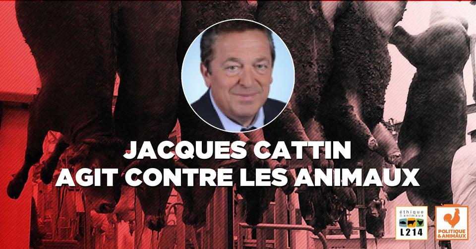 Jacques Cattin agit contre les animaux - Politique & animaux