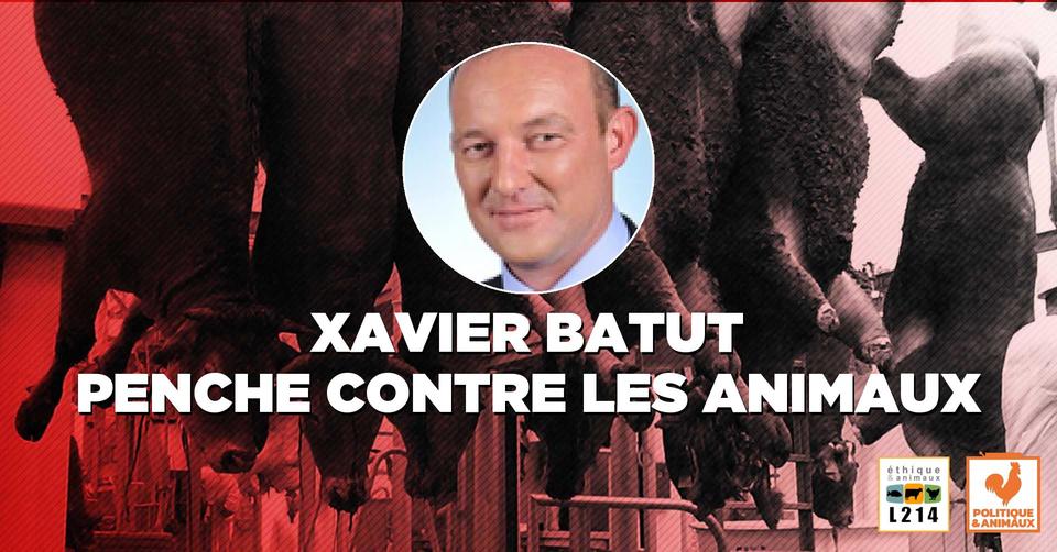 Xavier Batut penche contre les animaux - Politique & animaux