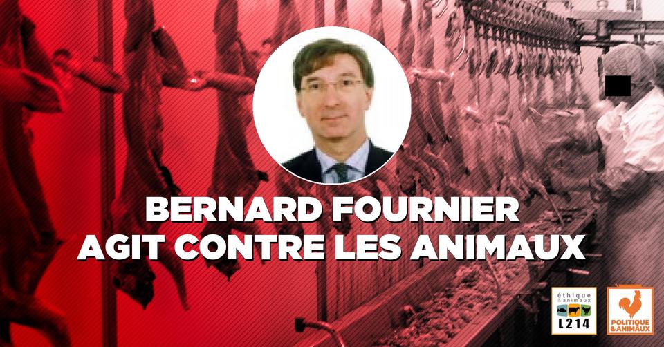 Bernard Fournier agit contre les animaux - Politique & animaux